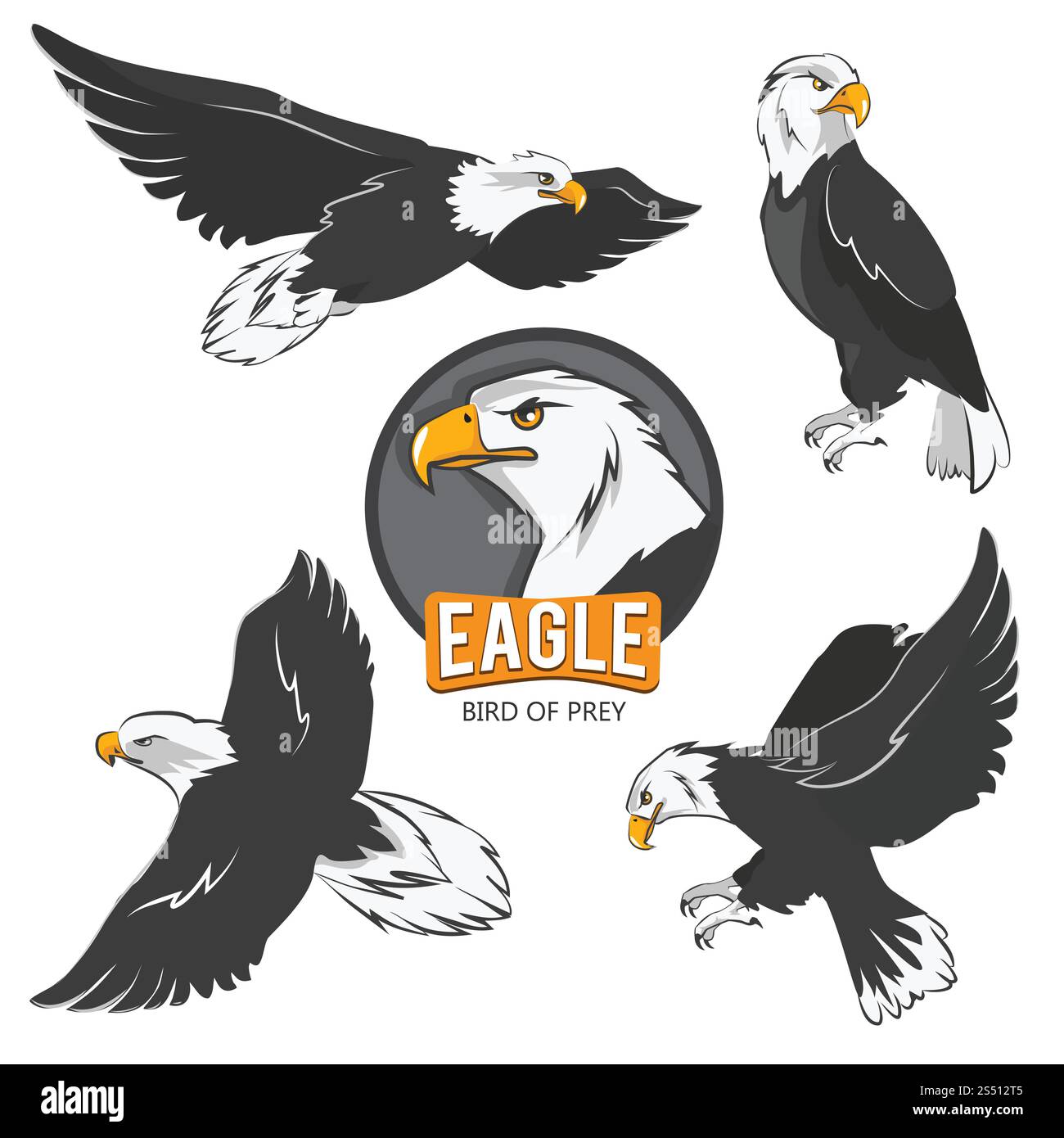 Collection of cartoon eagles. Flying birds isolate on white. Eagle ...