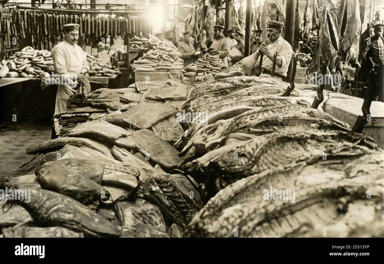 World War I: Provisioning: Meat supply for German soldiers: View of a ...