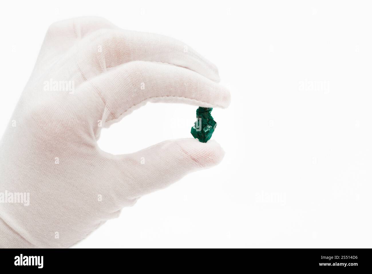hand in white glove holds dioptase crystal on white background Stock ...