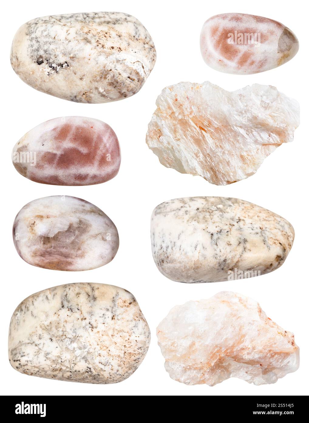 collection of natural mineral specimens - various albite gem stones ...