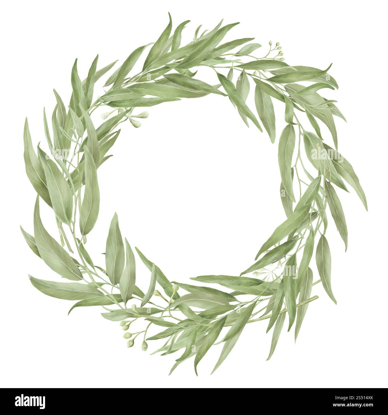 Wreath of willow branches with green leaves. Watercolor digital ...