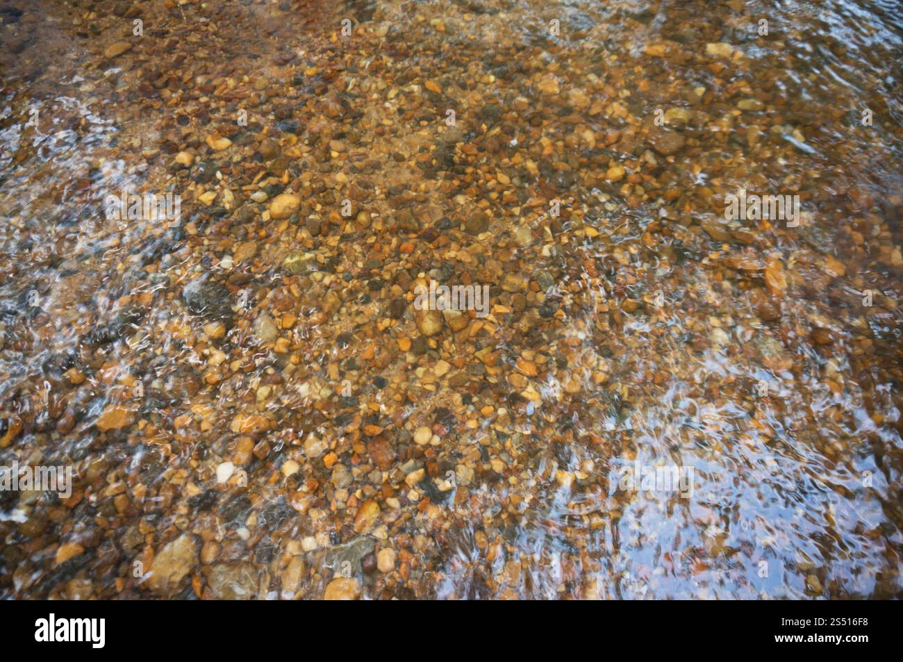 The texture of the bottom. The stones visible under the clear water ...
