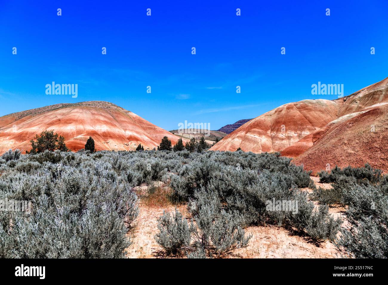 Painted desert terrain hi-res stock photography and images - Alamy