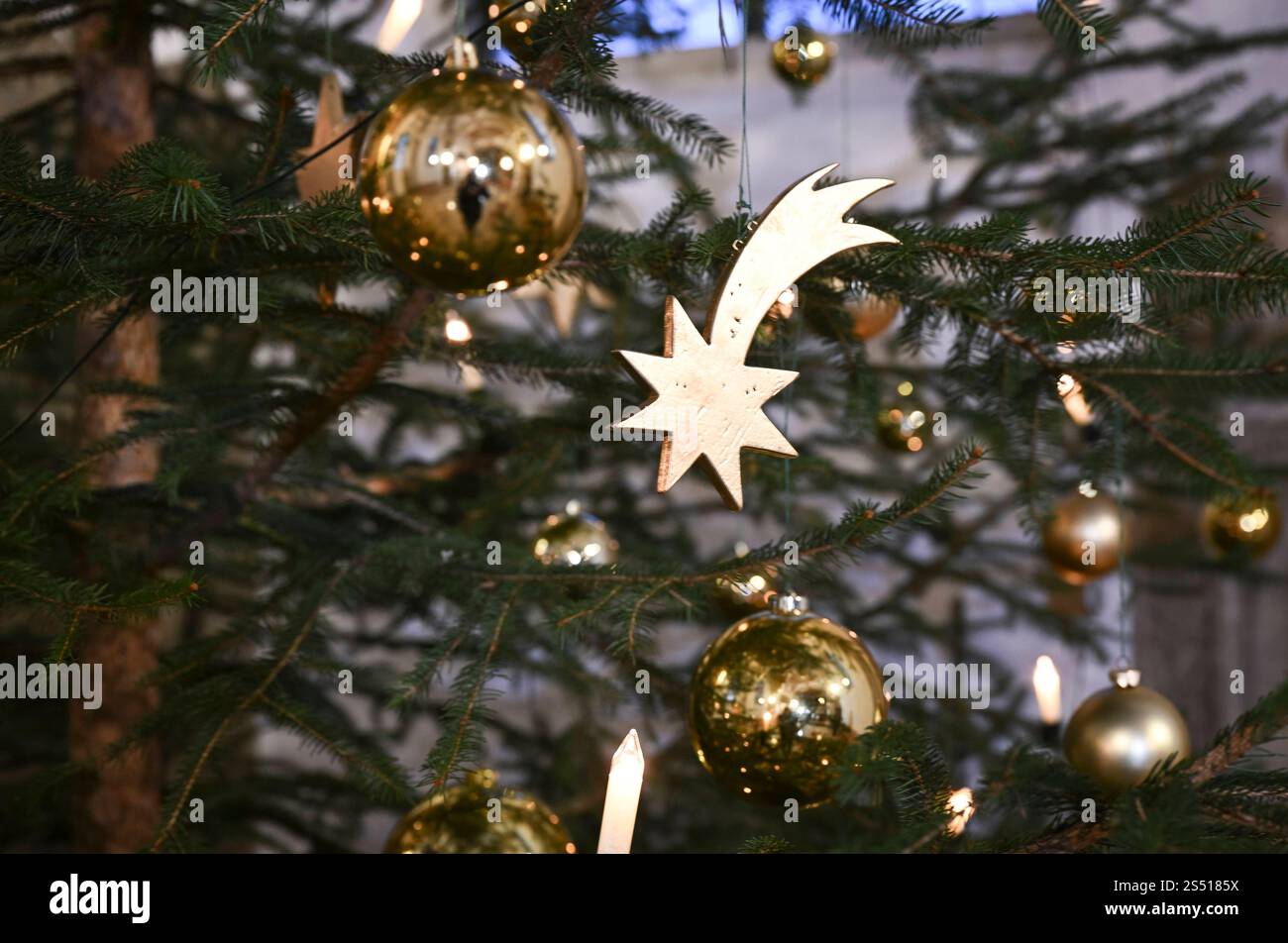 Hirrlingen 31.12.2024 Christbaum in der St. Martinus Kirche in ...