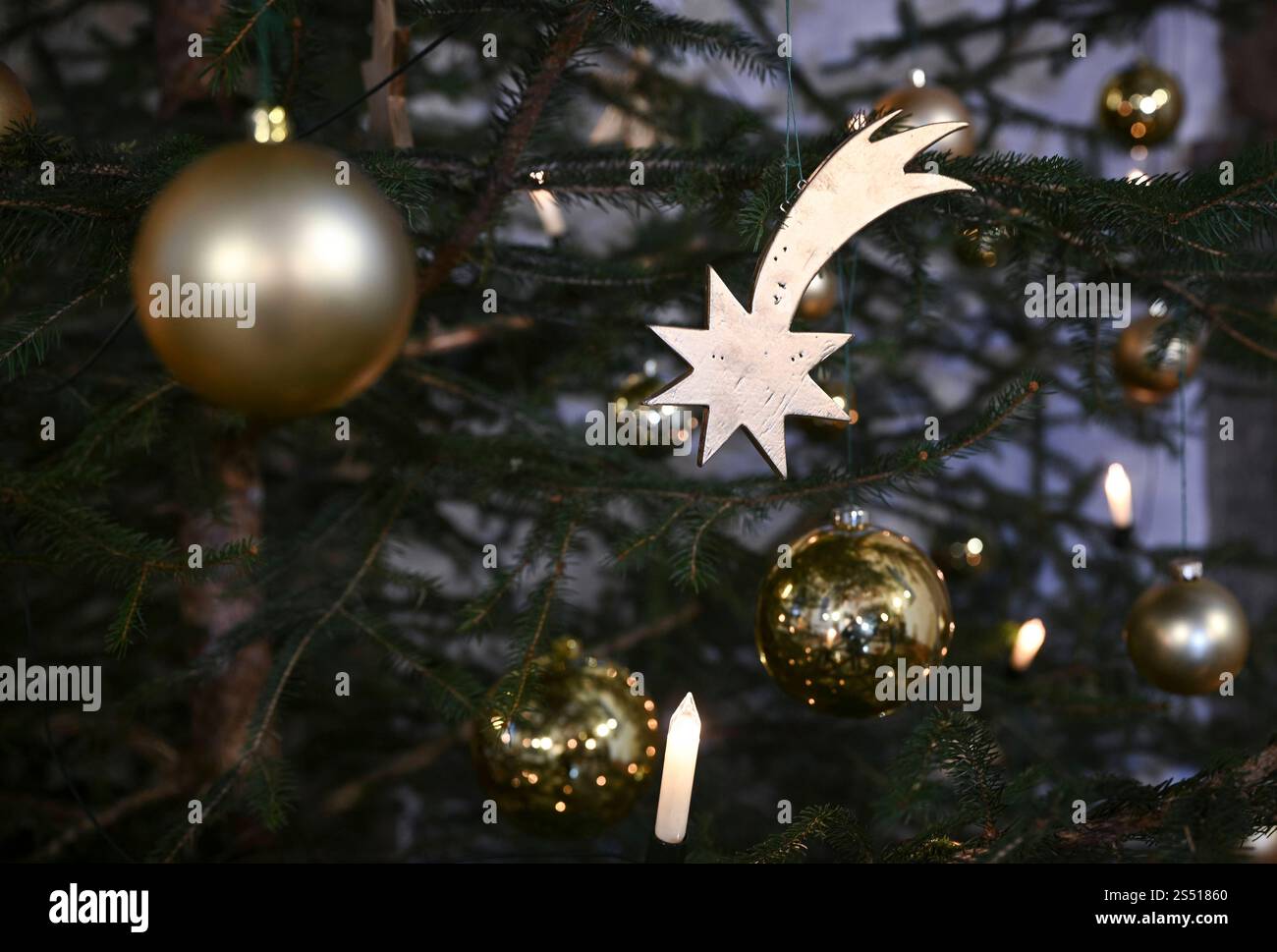 Hirrlingen 31.12.2024 Christbaum in der St. Martinus Kirche in ...