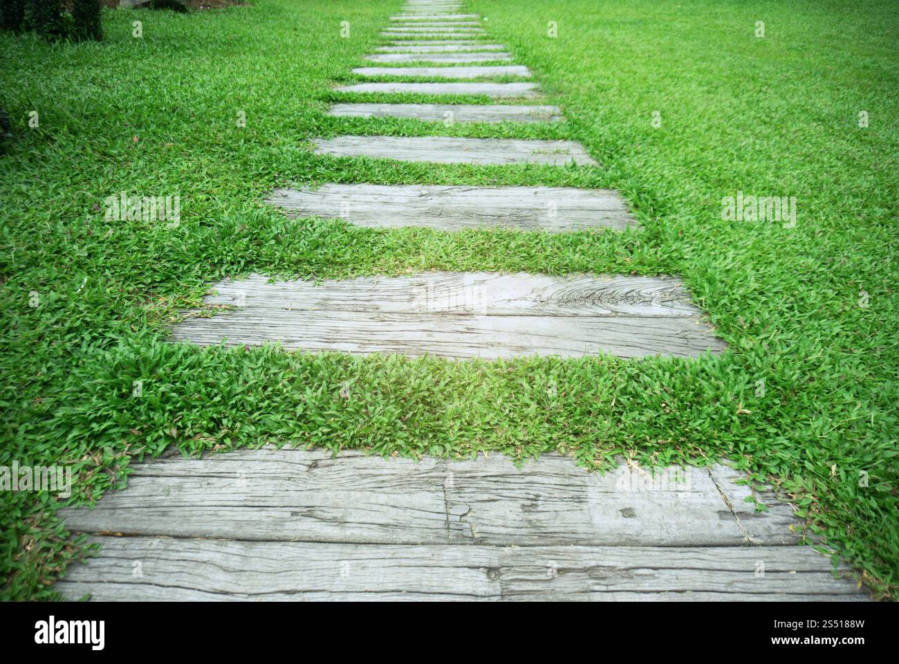 Stone Pathway in the park with green grass background Stock Photo - Alamy