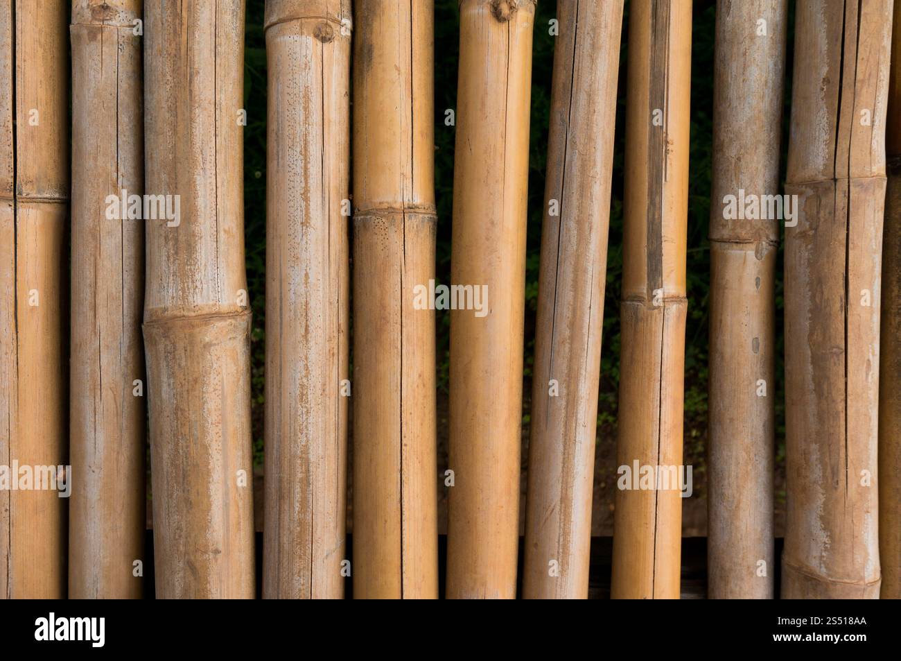 Bamboo fence texture with natural patterns background Stock Photo - Alamy