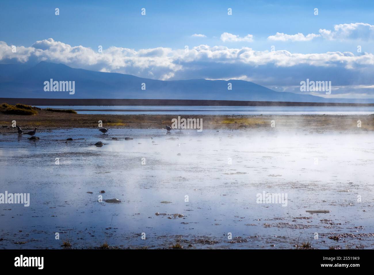 Lake in sol de manana geothermal field, sud Lipez reserva Eduardo ...