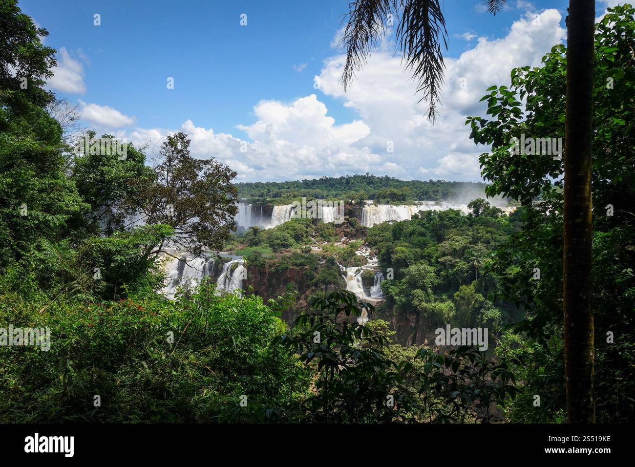 iguazu falls national park. tropical waterfalls and rainforest ...