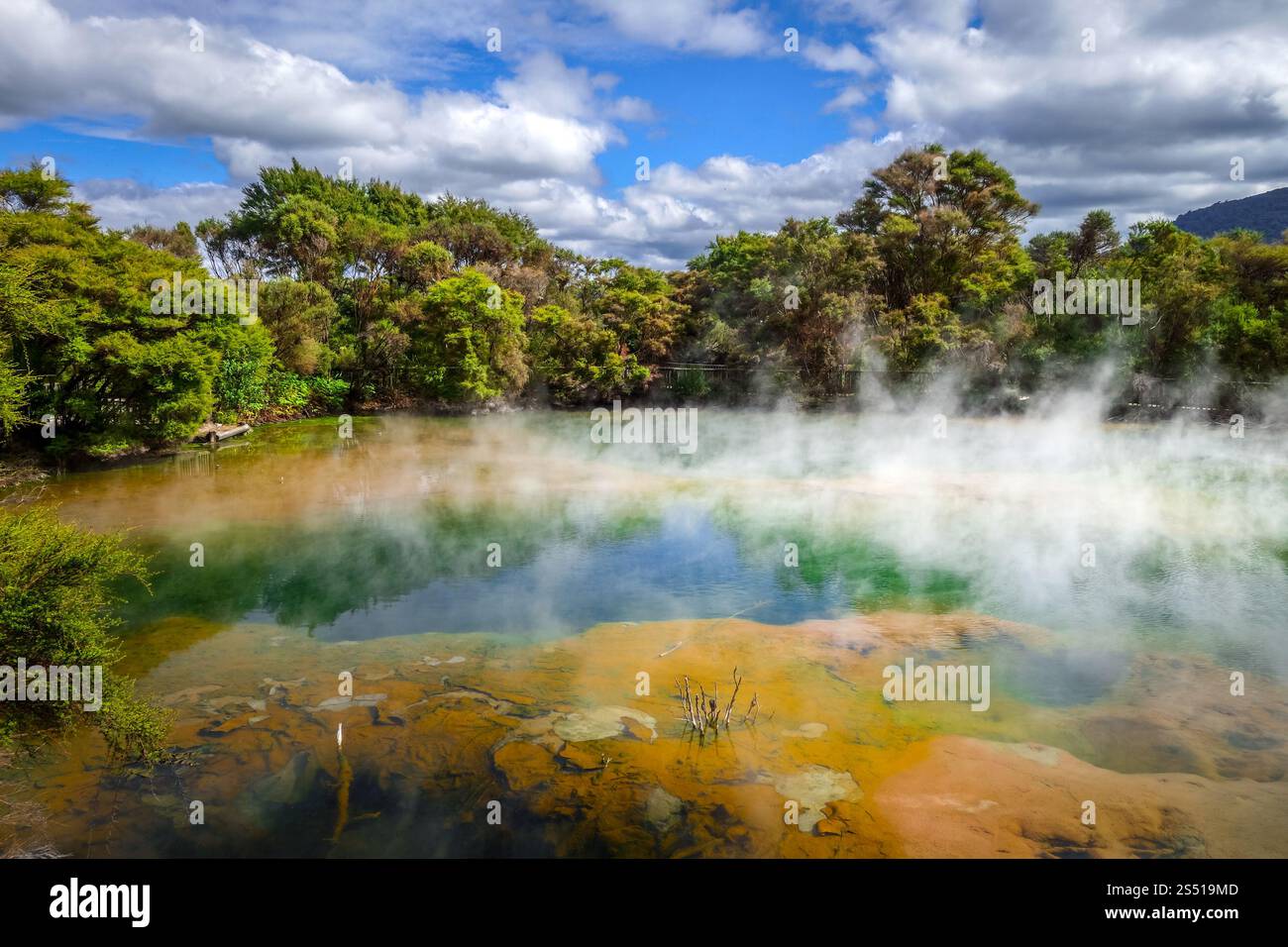 Hot springs lake in Rotorua park, New Zealand. Hot springs lake in ...
