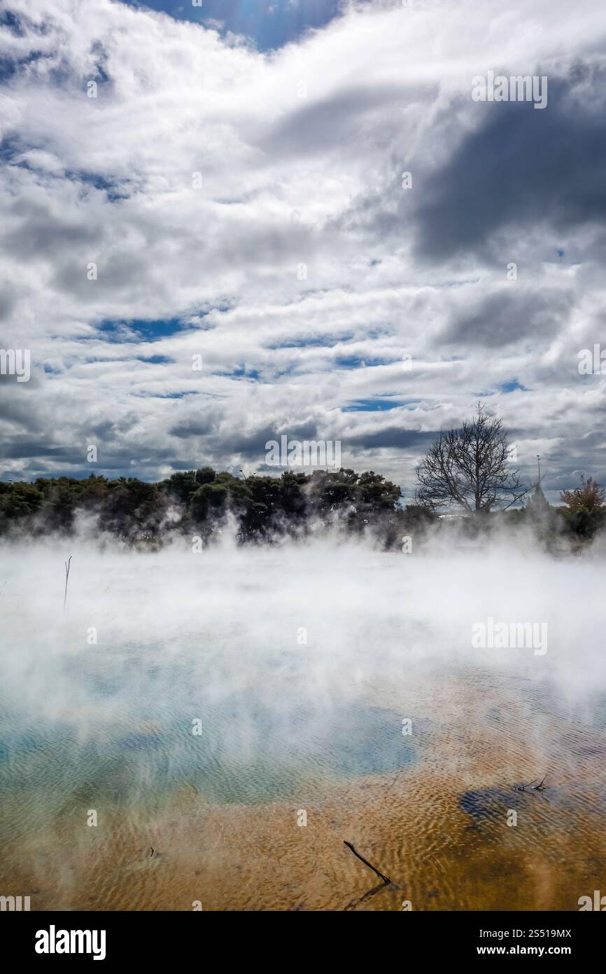 Hot springs lake in Rotorua park, New Zealand. Hot springs lake in ...