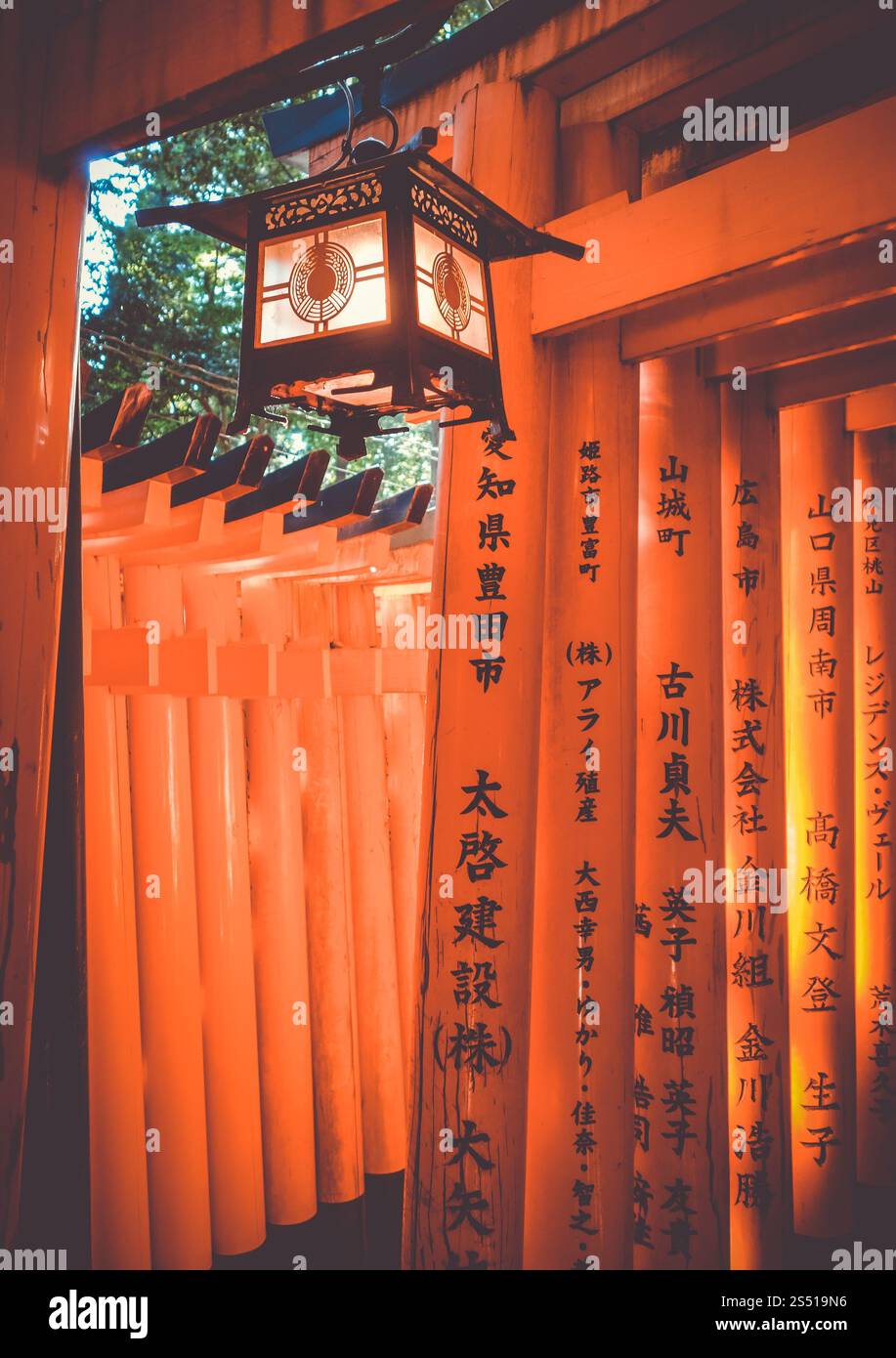 Traditional lantern in Fushimi Inari Taisha shrine, Kyoto, Japan ...
