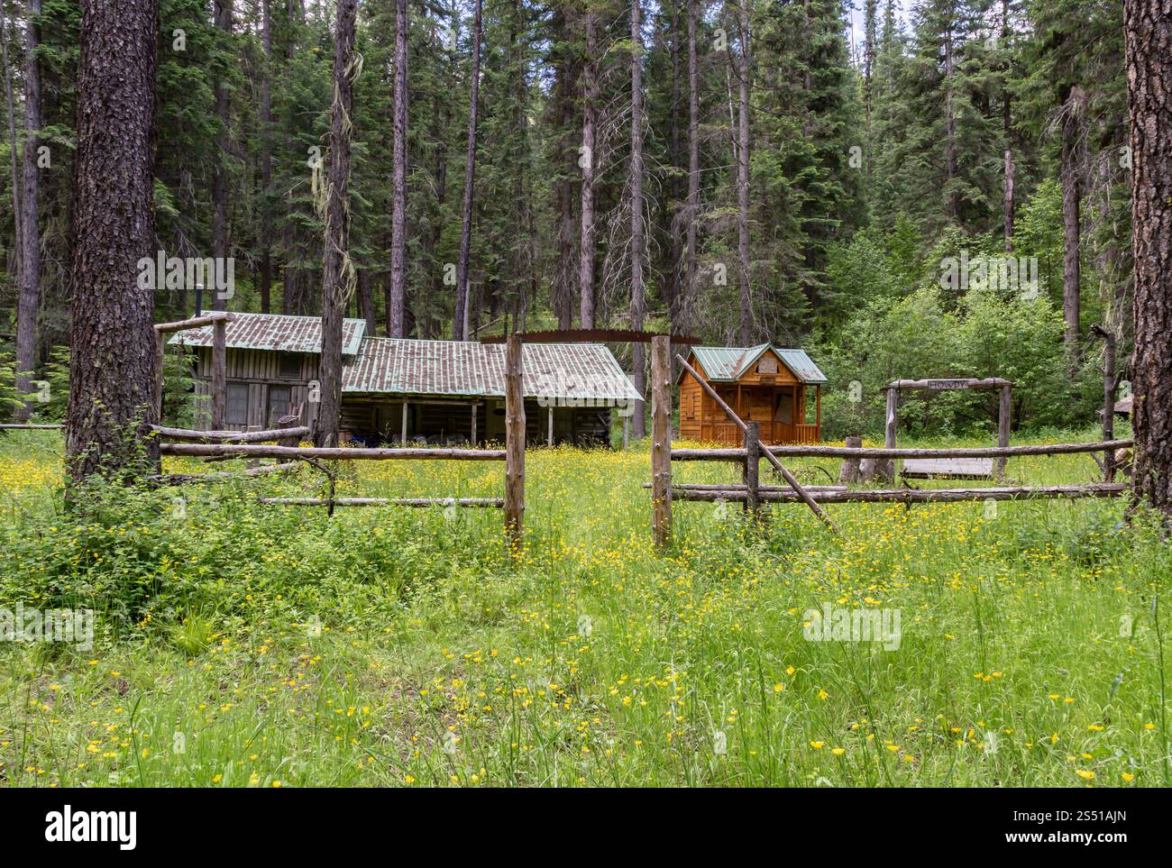 Rustic Cabins Surrounded by Dense Forest and Peaceful Meadow Landscape ...