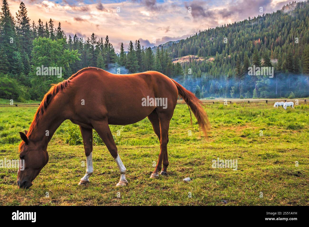 Eagle Cap Wilderness, Oregon Stock Photo - Alamy