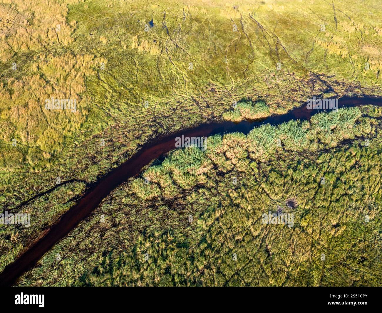 Aerial view of an Okavango landscape in Botswana. Flight from Maun to ...