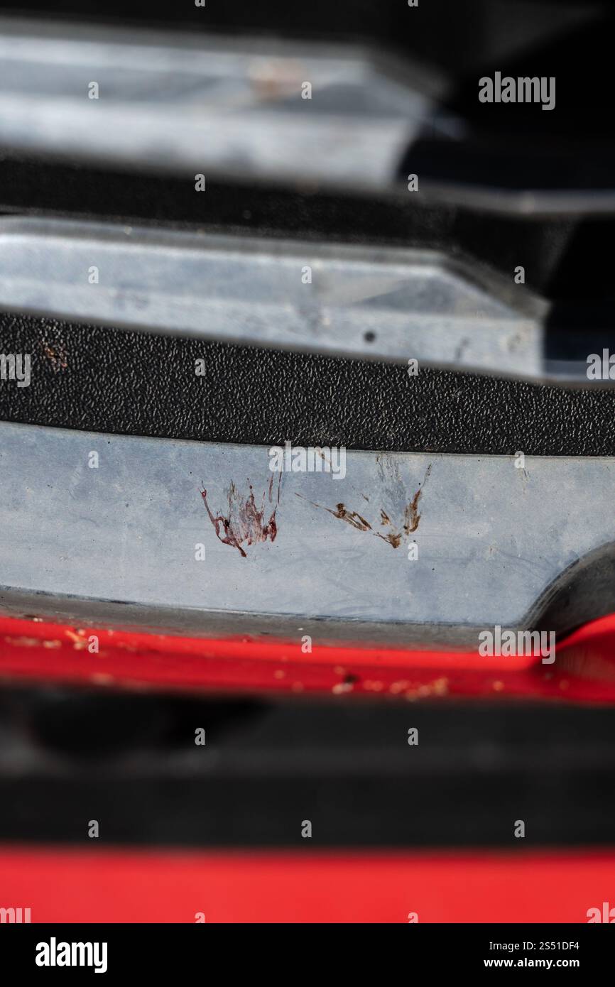 Crossed bugs on the front of a vehicle Stock Photo - Alamy