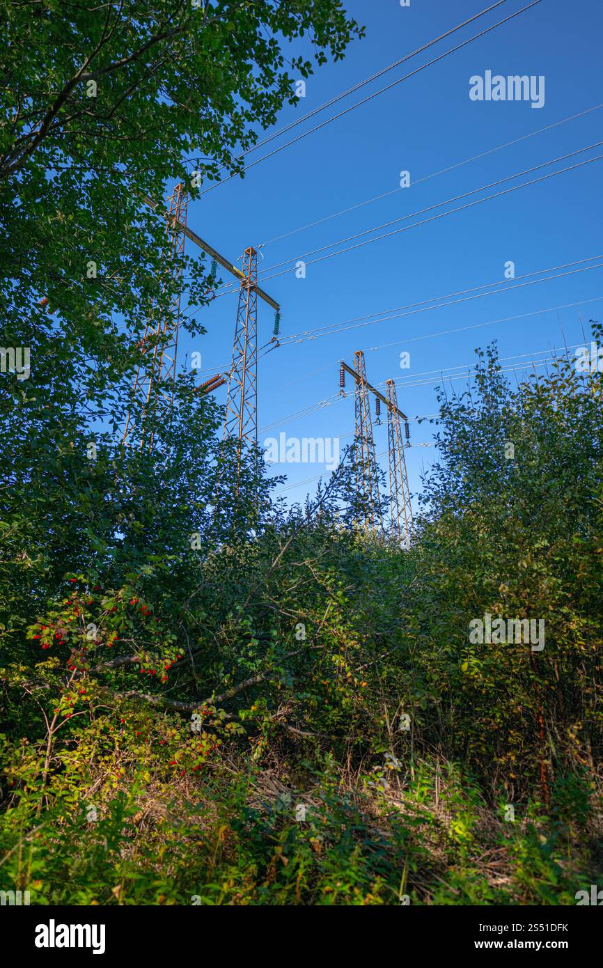 Two large electrical high voltage pylons over a forest Stock Photo - Alamy
