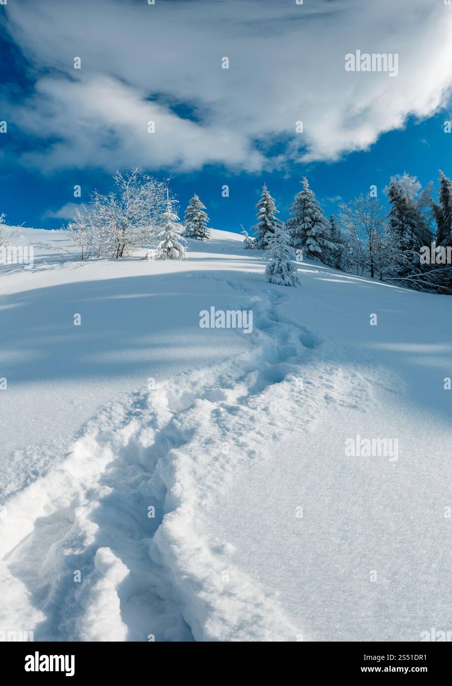 Beautiful snowy landscape winter hi-res stock photography and images ...