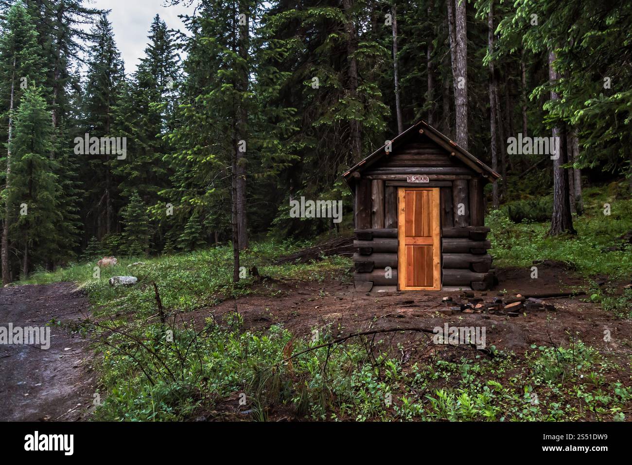 Small Rustic Cabin Surrounded by Green Forest in Remote Woodland Area ...