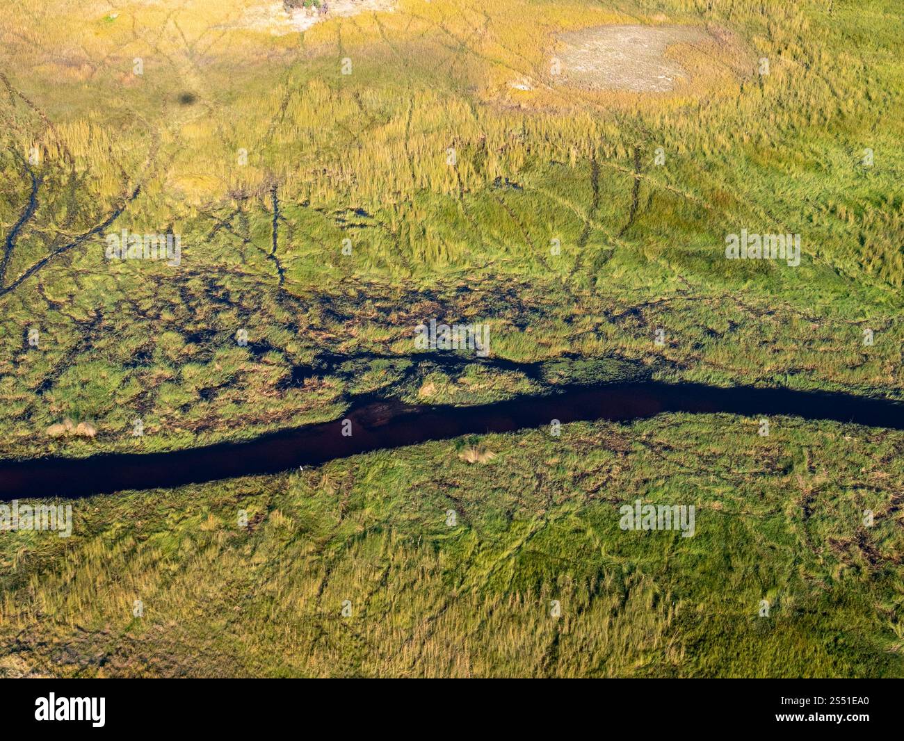 Aerial view of an Okavango landscape in Botswana. Flight from Maun to ...