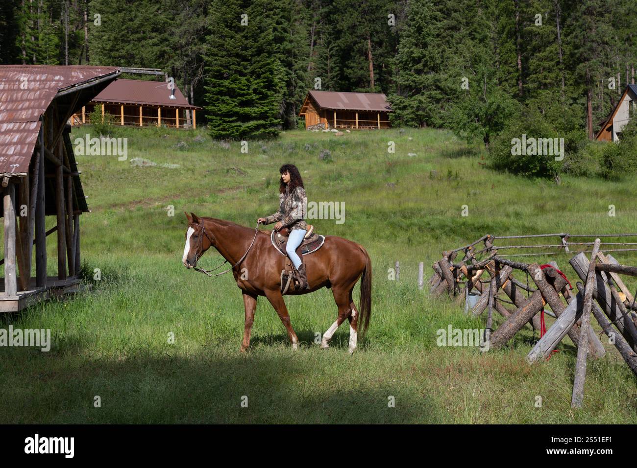 Woman Riding a Horse in a Rustic Woodland Farm Setting Stock Photo - Alamy