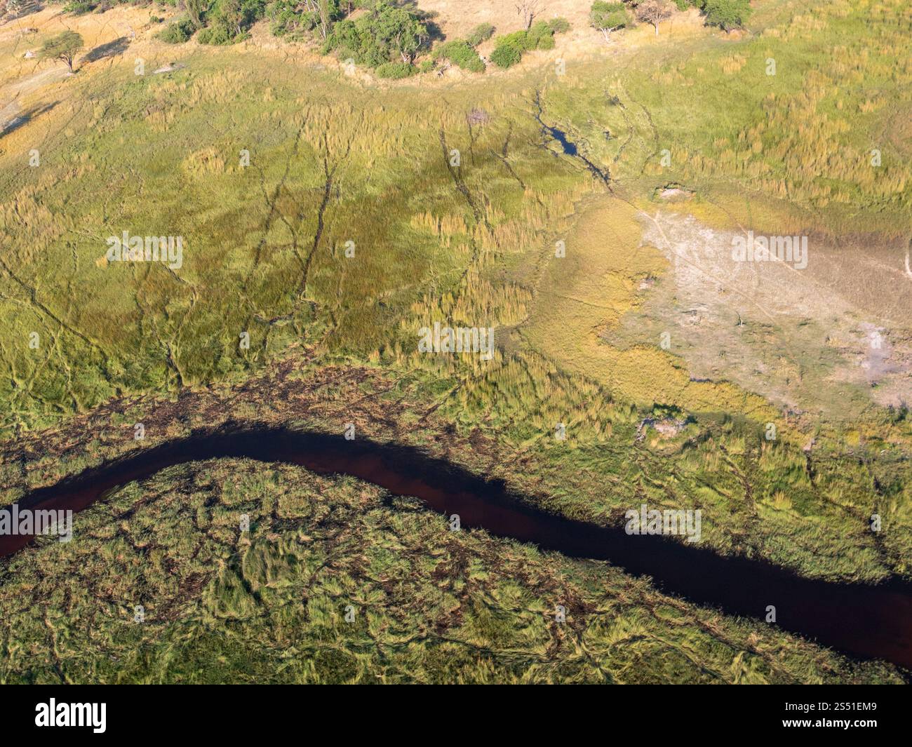 Aerial view of an Okavango landscape in Botswana. Flight from Maun to ...