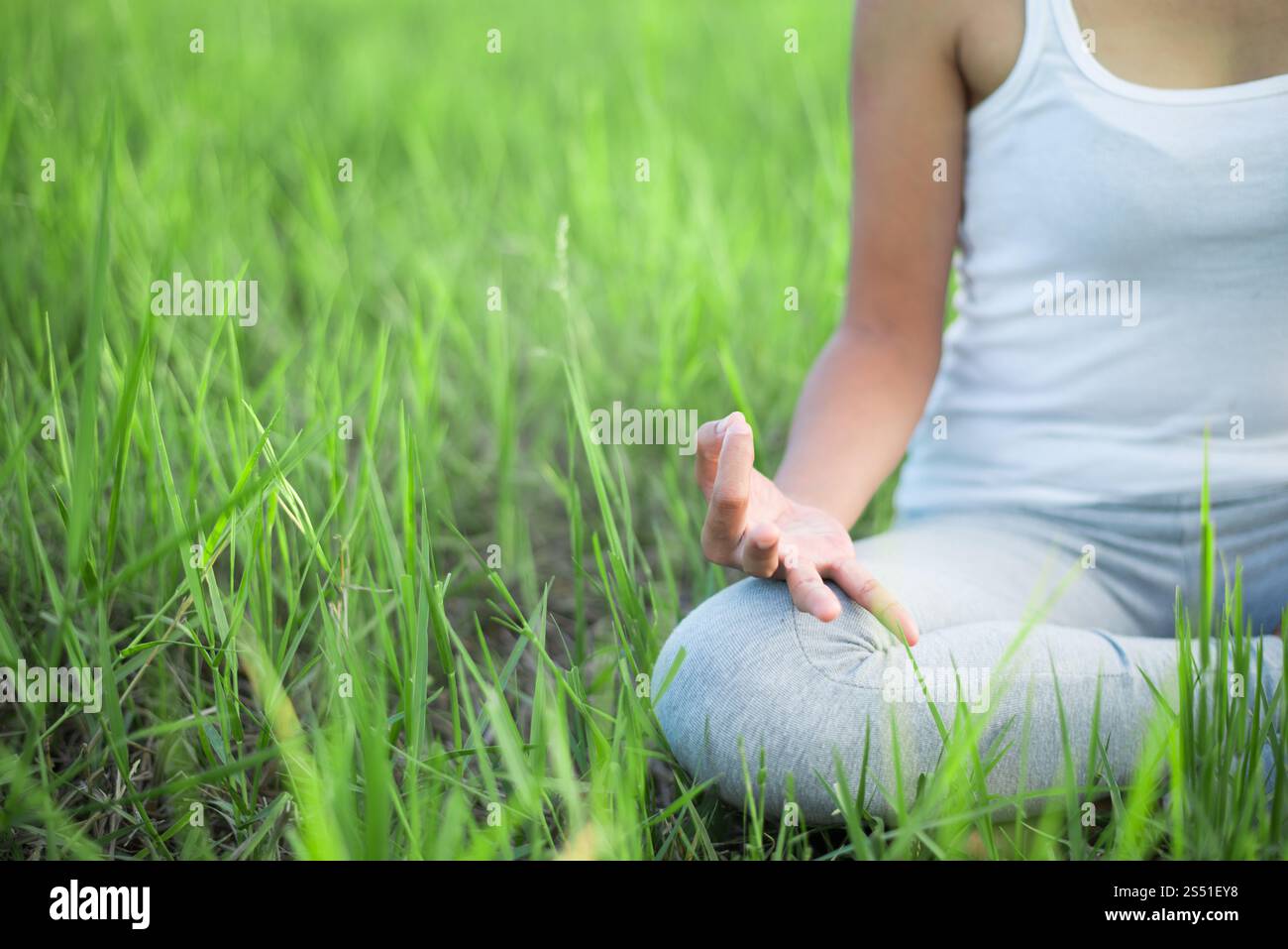 Yoga woman In the lotus posture Stock Photo - Alamy