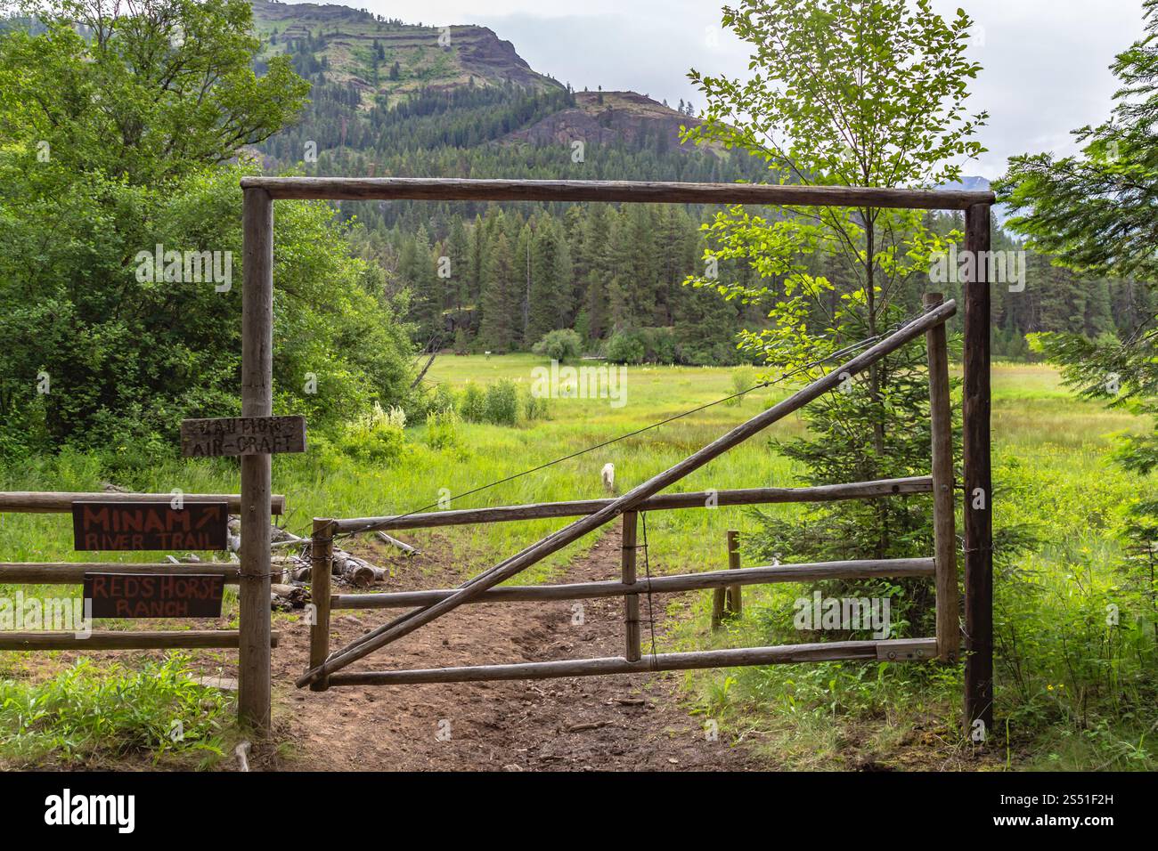 Rural Wooden Gate Overlooking a Scenic Countryside Landscape with Trees ...