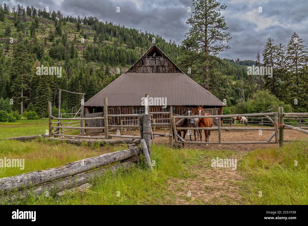 Rustic Farm with Horses in a Scenic Forested Countryside Setting, Red's ...