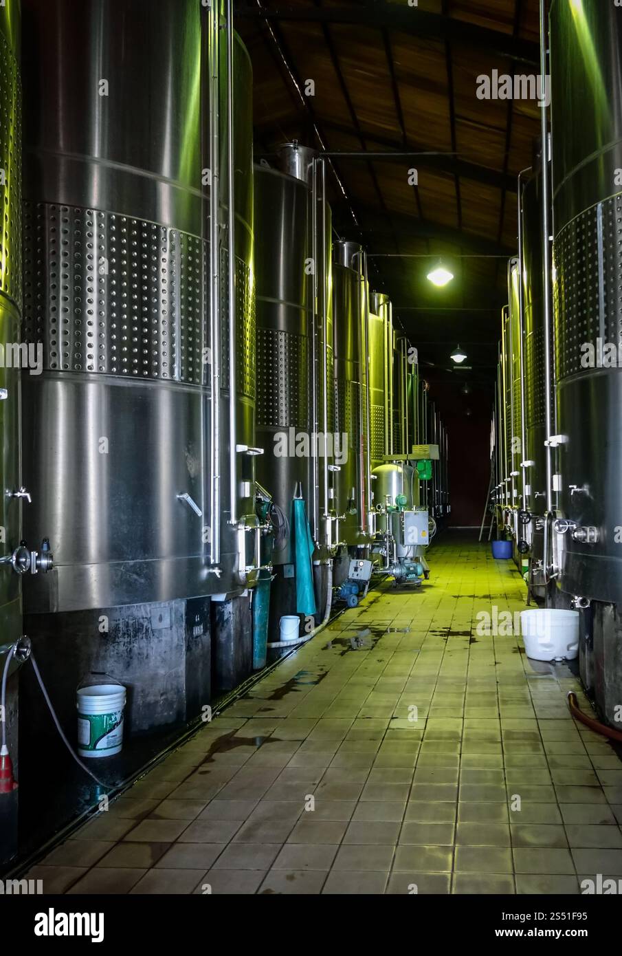 rows of metal wine barrels in a winery. metal wine barrels in a winery ...