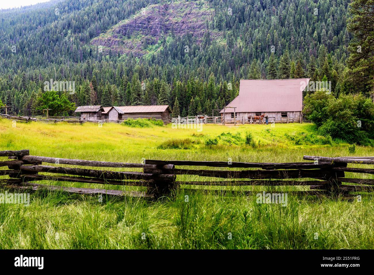 Rustic Farmhouse With Green Meadows and Dense Forest Landscape in Rural ...