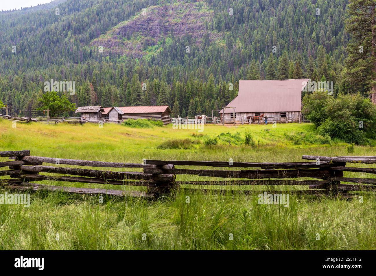 Rustic Farmhouse With Green Meadows and Dense Forest Landscape in Rural ...