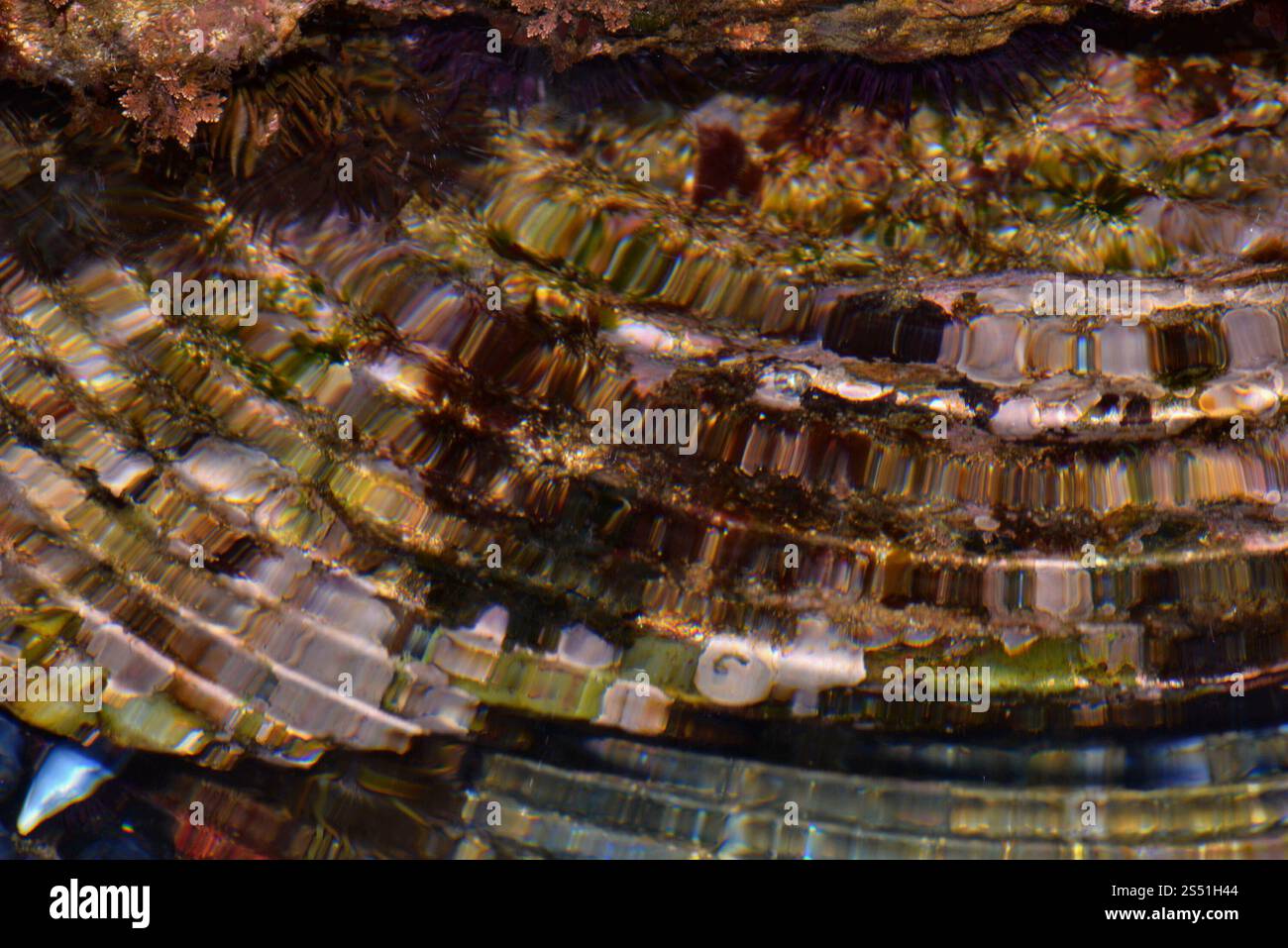 Water wave propagation and light distortion Stock Photo - Alamy