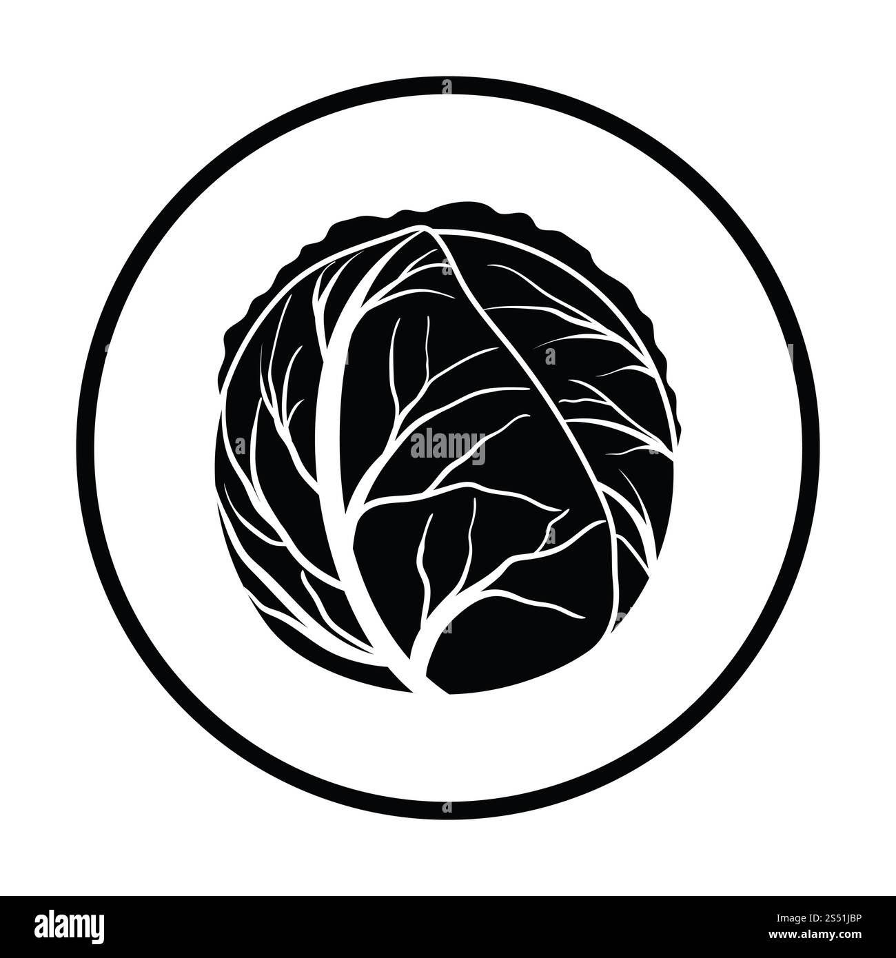 Cabbage icon. Thin circle design. Vector illustration Stock Photo - Alamy
