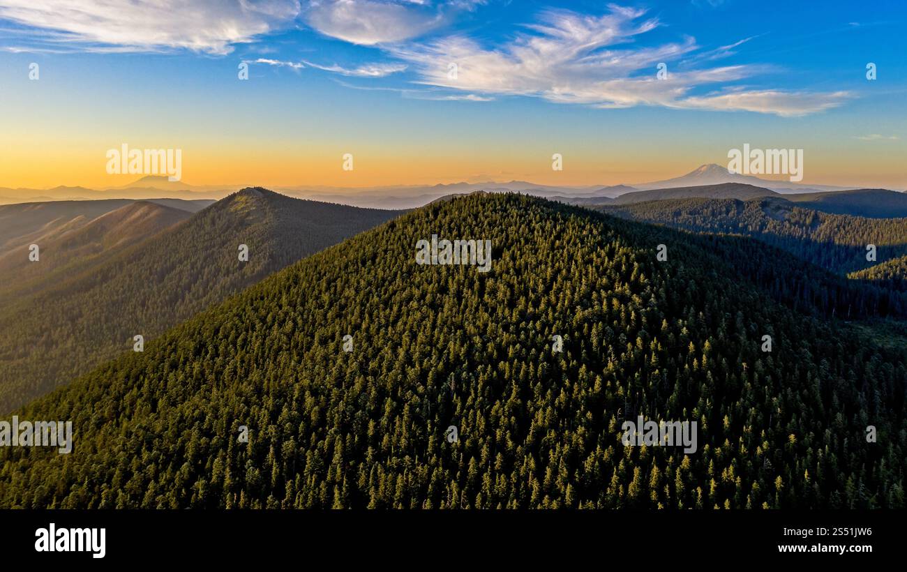 Aerial View of Forest-Covered Hills with Distant Mountain Peaks at ...