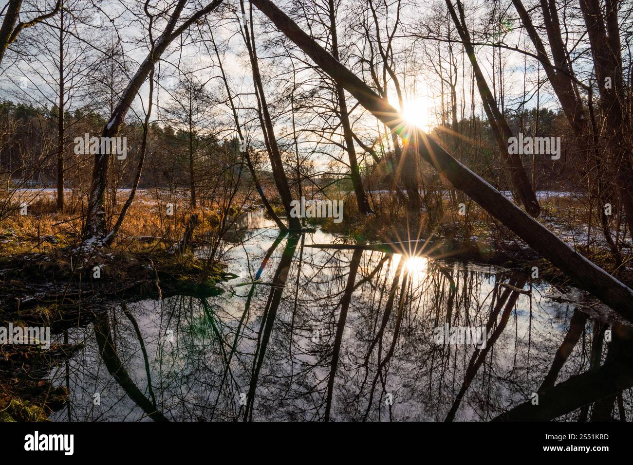 Wandlitz, Germany. 13th Jan, 2025. View of the Pregnitzfließ between ...