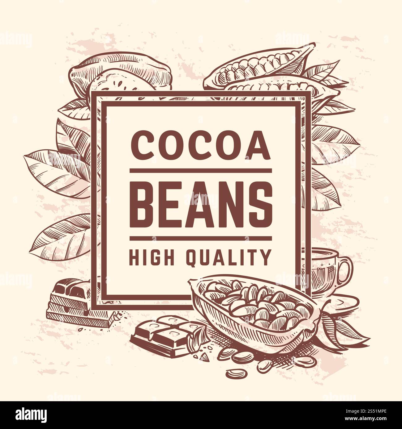 Cocoa plant with leaves. Cacao tree background. Sweet chocolate ...