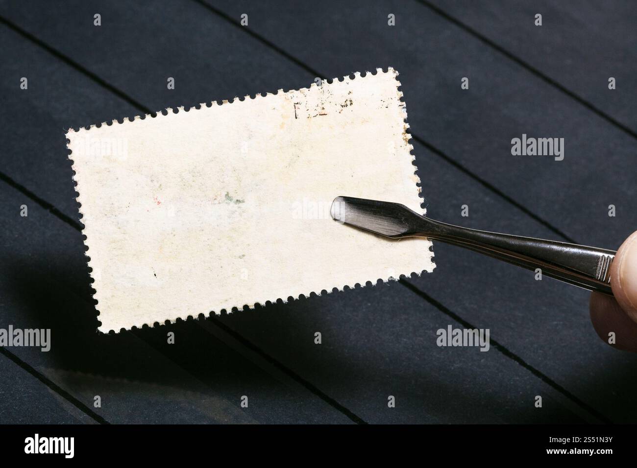 philately concept - tongs keeps postage stamp with unused back side ...