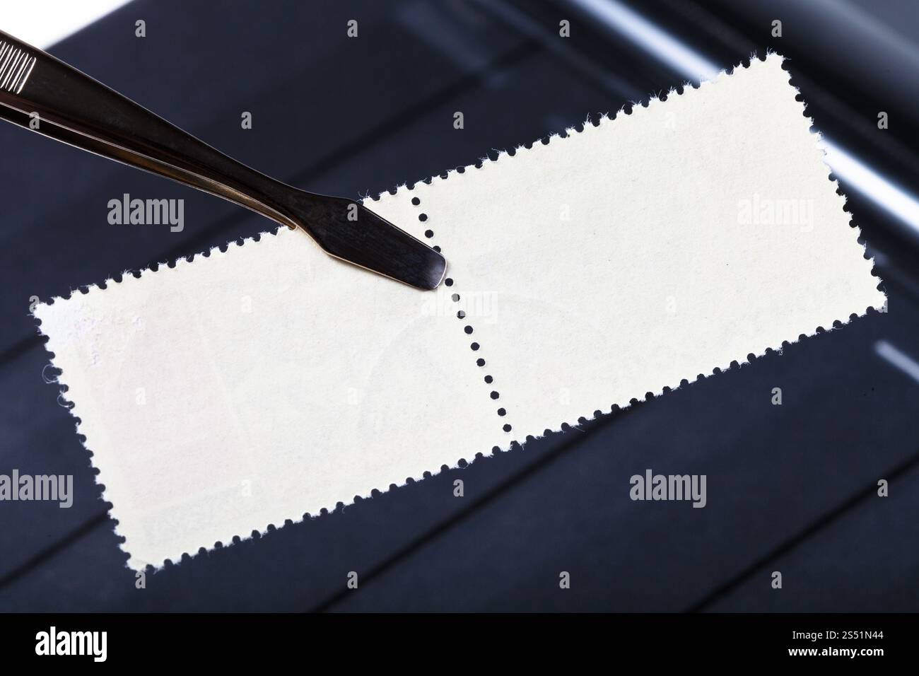 philately concept - tongs keeps double postage stamp with mint back ...