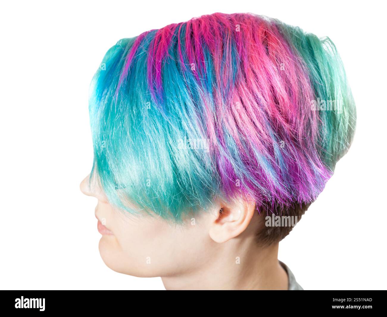 above view of female head with multi colored dyed hairs on white ...
