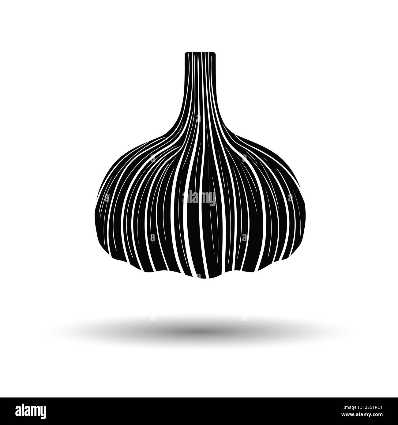 Garlic icon. White background with shadow design. Vector illustration ...