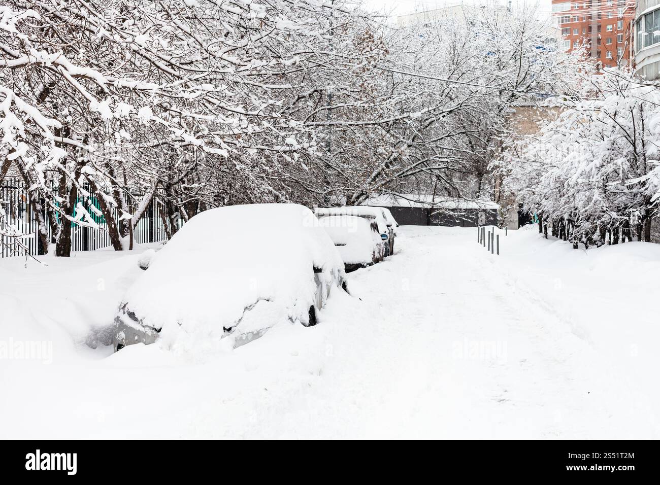 snow-covered cars on car parking along road in residential district of ...