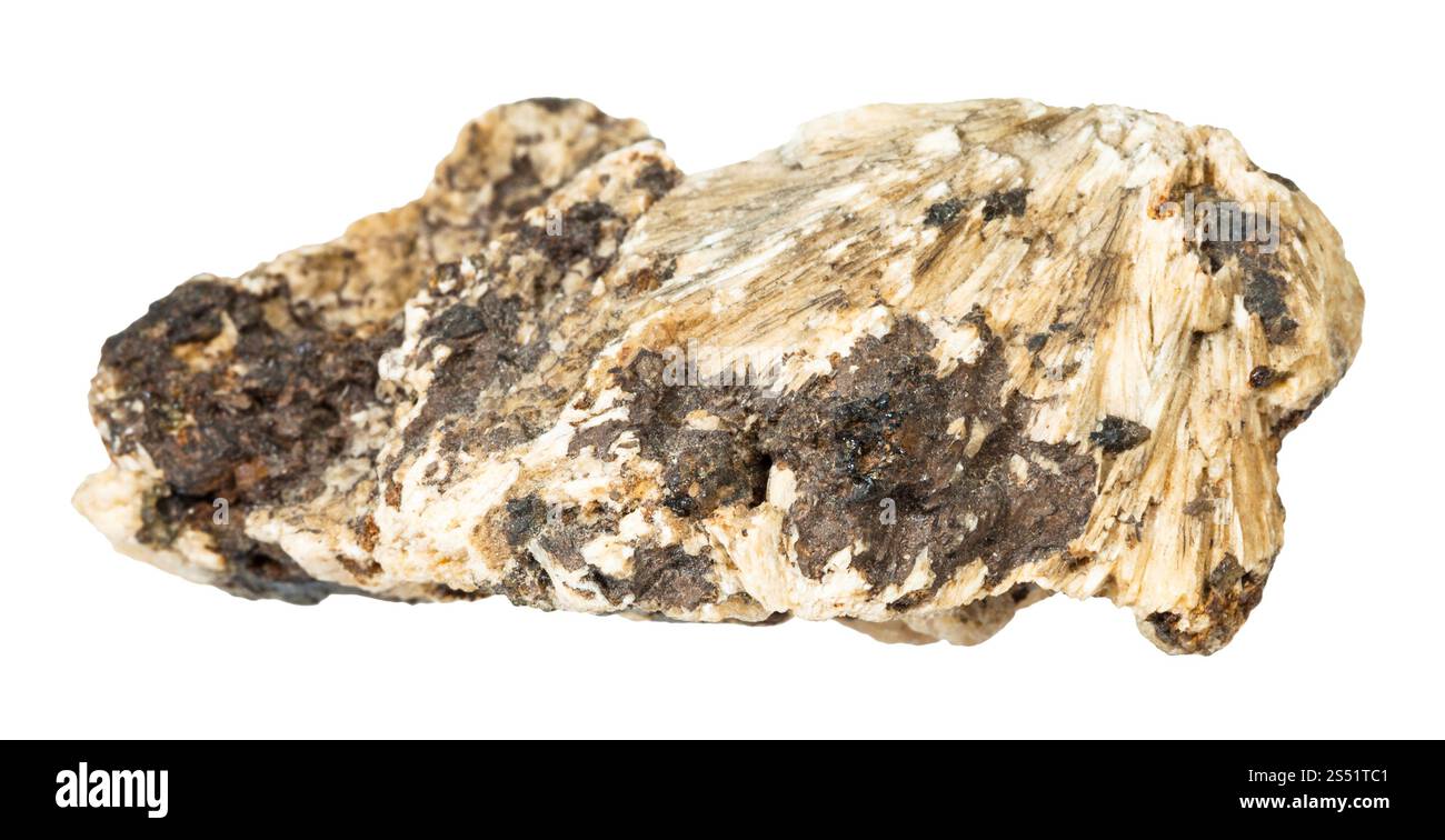 macro shooting of natural mineral - Perovskite stone in rough ...