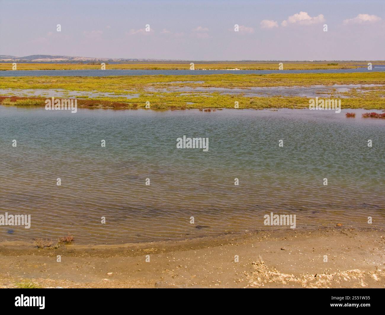 europe, greece, thrace, delta of the evros river Stock Photo - Alamy