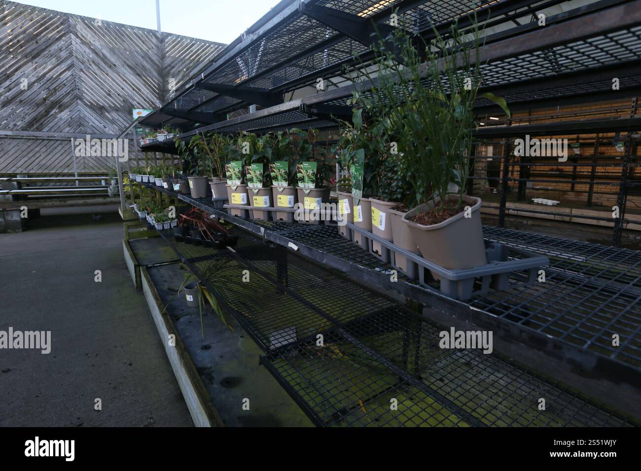 Nutgrove, Dublin, Ireland - 3rd January 2025 - Image from Homebase in ...