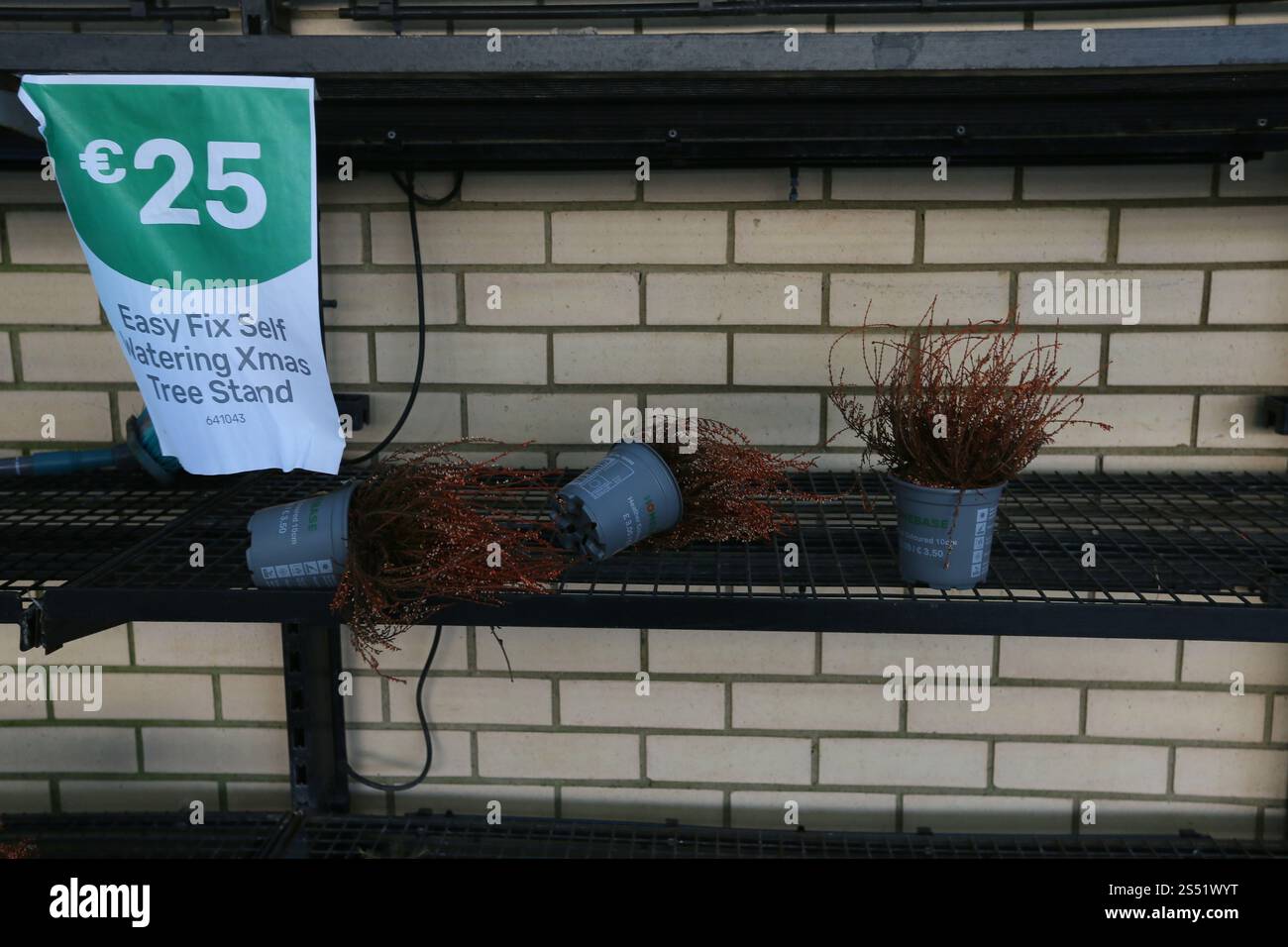 Nutgrove, Dublin, Ireland - 3rd January 2025 - Image from Homebase in ...