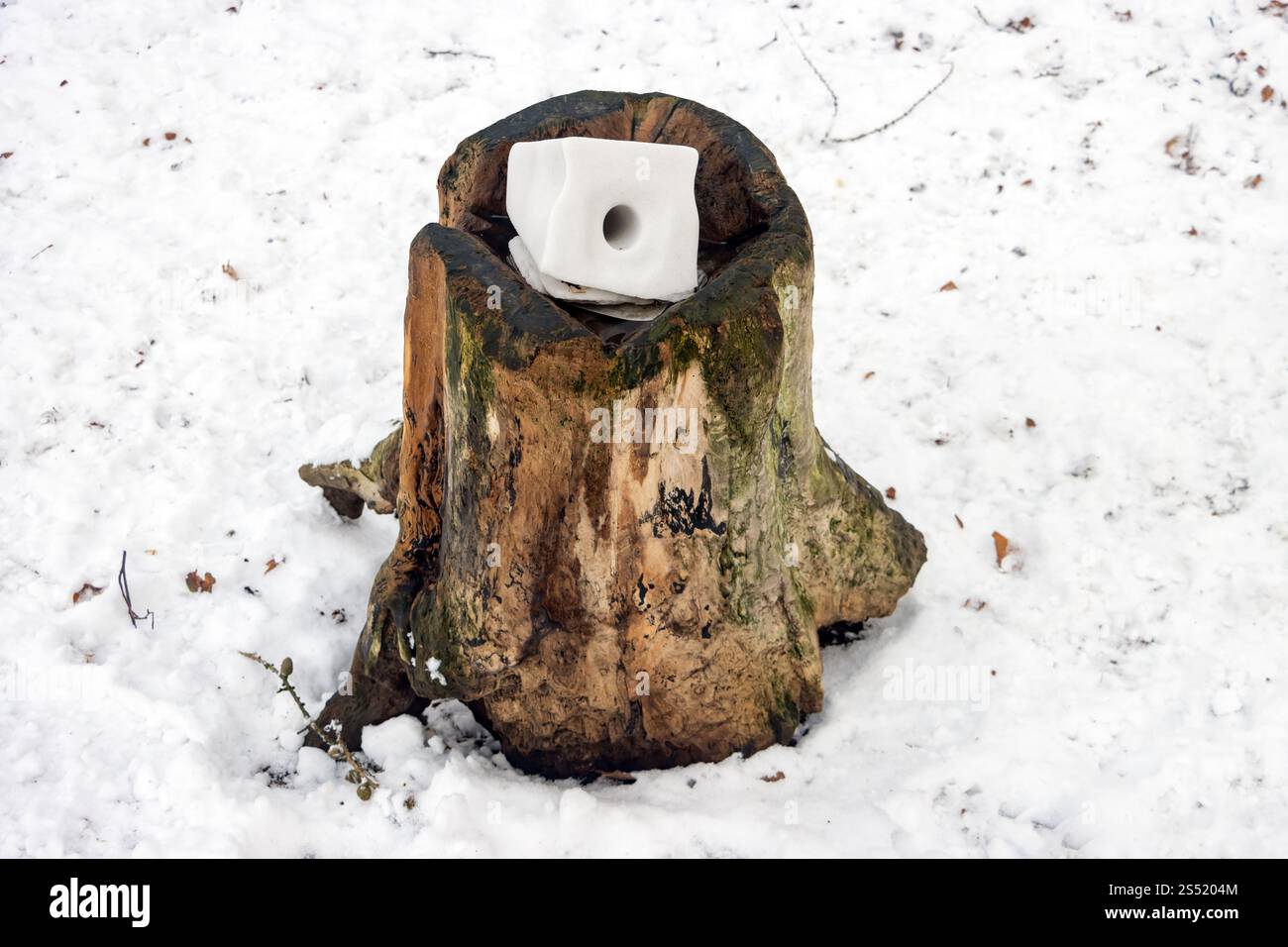 A cube of salt placed in a tree stump for animals in a snowy forest ...