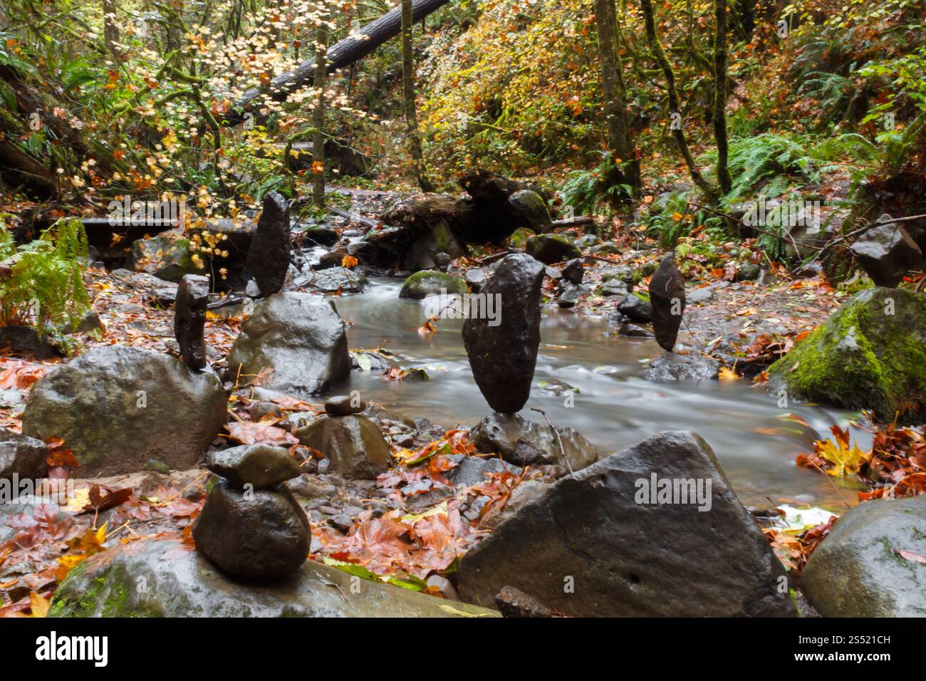 Tranquil Forest Stream with Stacked Stones in Autumn Landscape Stock ...