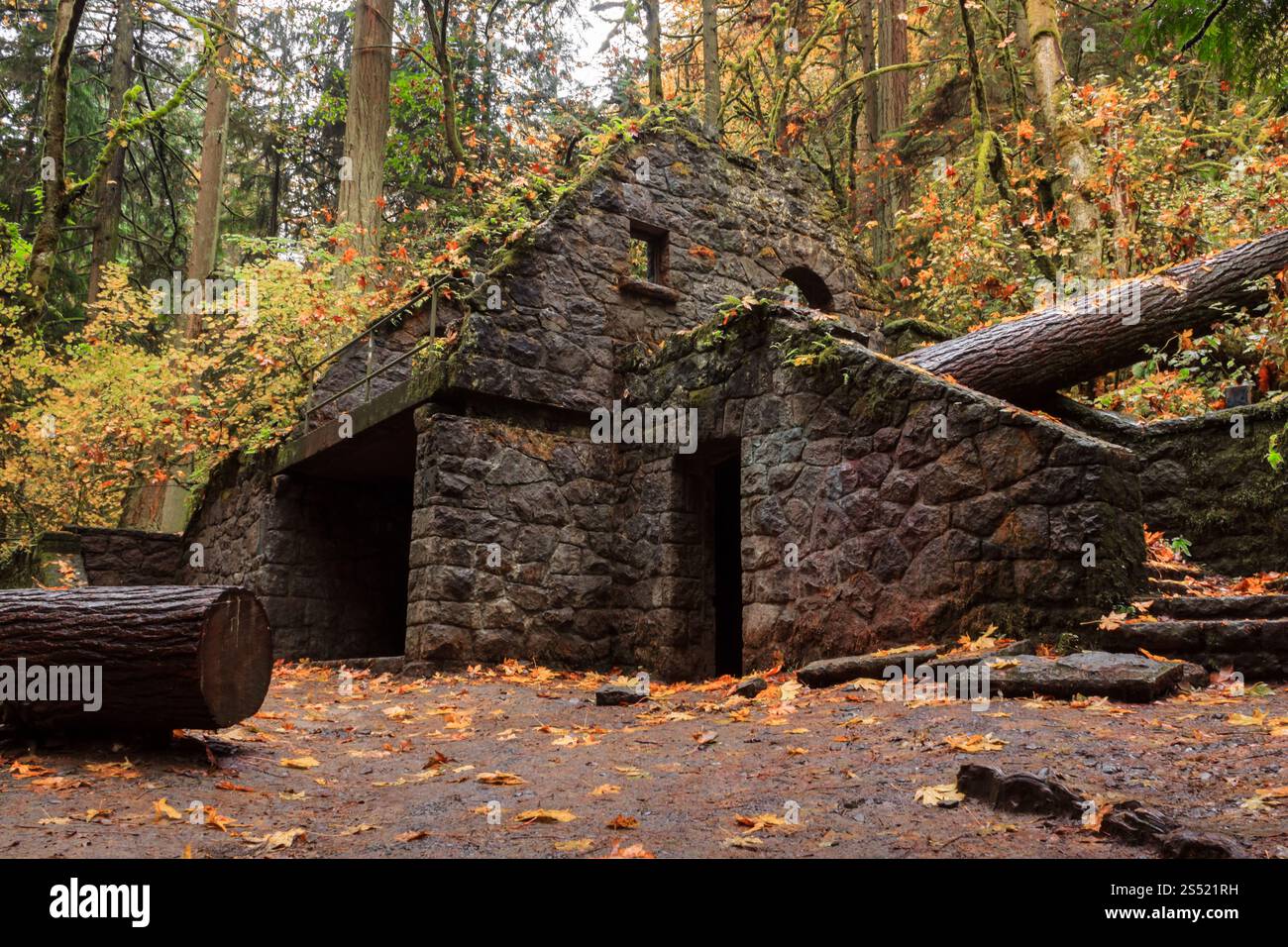 Witch House, Forest Park, Portland, Oregon Stock Photo - Alamy