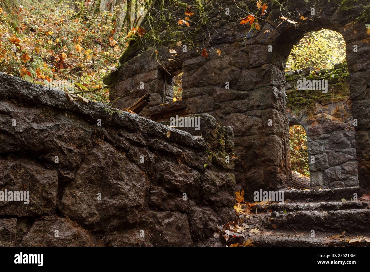 Witch House, Forest Park, Portland, Oregon Stock Photo - Alamy